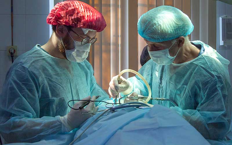 AL-RAWAD AL-DAWLIA company